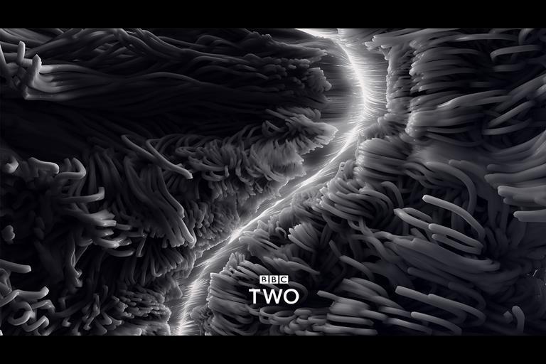 Gallery: New BBC2 idents | Features | Broadcast